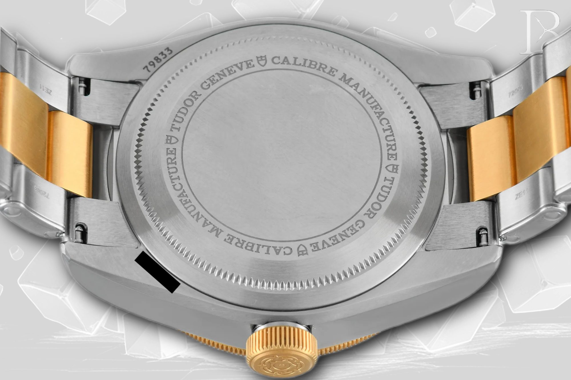 Tudor Root Beer GMT Watch: The Black Bay GMT S&G 79833MN